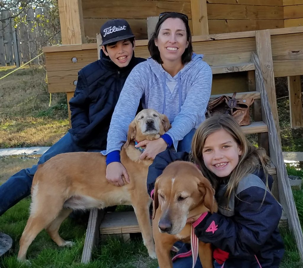 Marlene – Homes For Animal Heroes