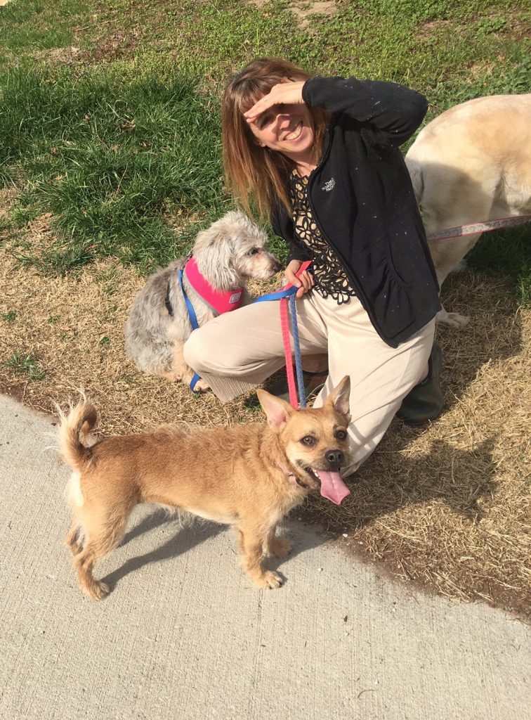 Gotti – Homes For Animal Heroes